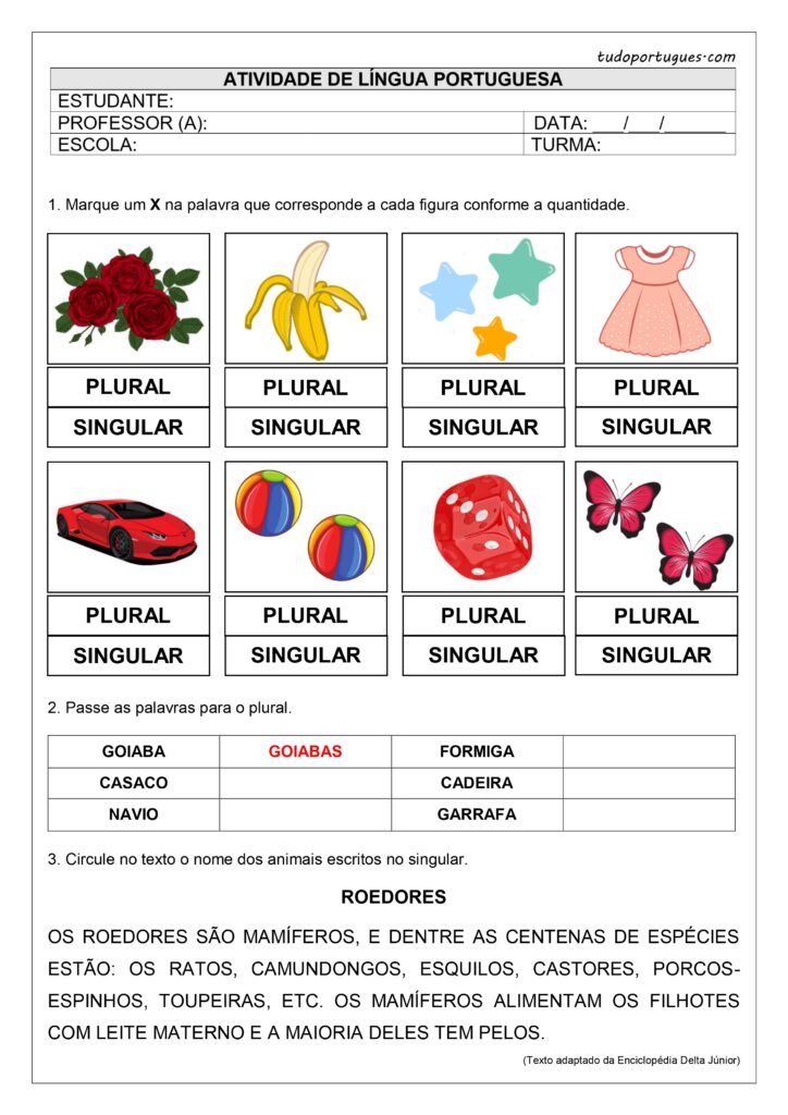 Atividade sobre Singular e Plural - 2º e 3º ano - Tudo Português Atividade sobre Singular e Plural - 2º e 3º ano - Tudo Português